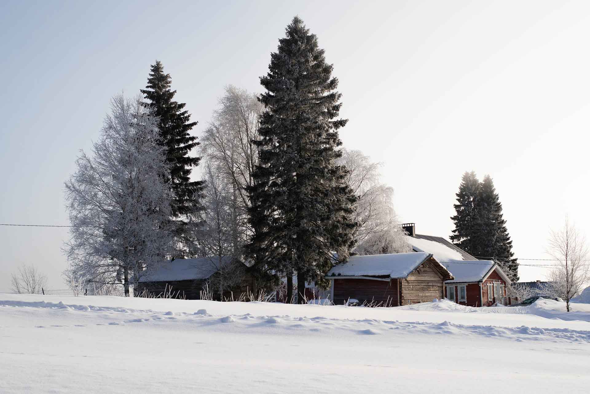 Personal effects and excess baggage shipping to Finland - My Move